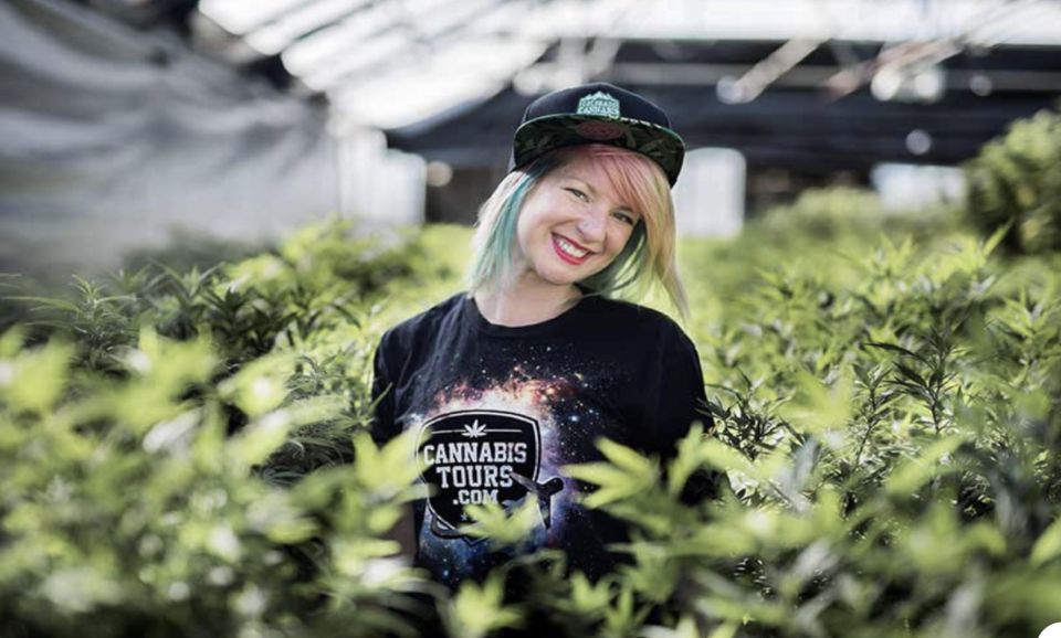 Denver: Cannabis Tour with Grow Facility Access - The Sum Up