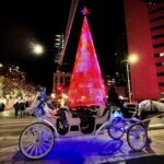 Denver: Holiday Lights & History Walking Tour - The Sum Up