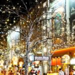 Denver: Holiday Lights & Sights Bus Tour - What to Expect on the Denver Holiday Lights & Sights Bus Tour