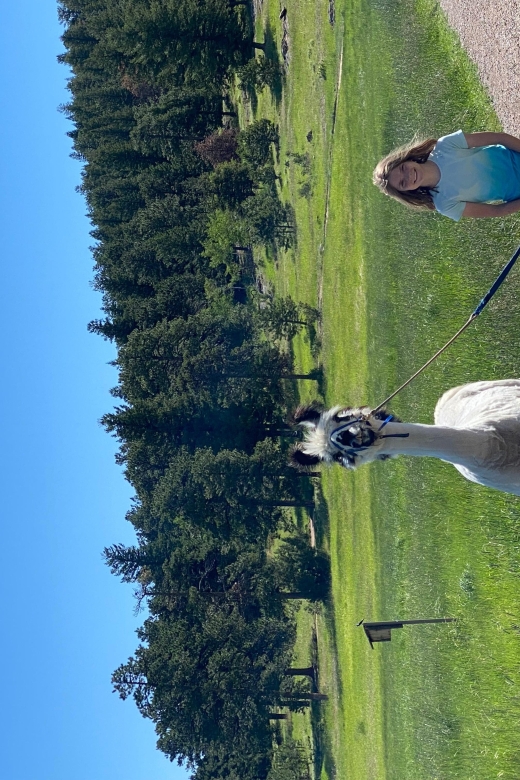 Denver: Llama Hike in the Rocky Mountains - What Does the Itinerary Look Like?