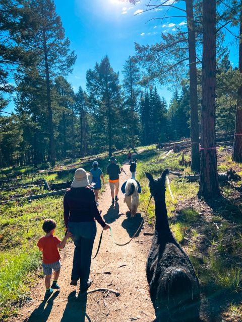 Denver: Llama Hike in the Rocky Mountains - The Llamas: More Than Just Animal Companions