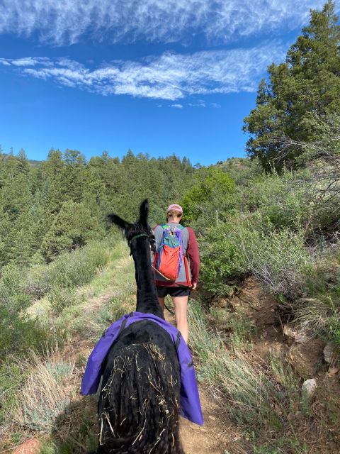 Denver: Llama Hike in the Rocky Mountains - The Guides: Knowledge, Personality, and Local Insights