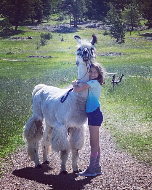 Denver: Llama Hike in the Rocky Mountains - Value for Money and Booking Flexibility