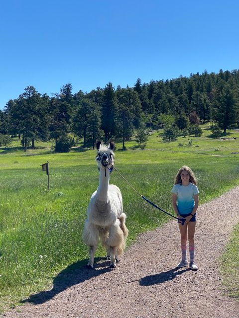 Denver: Llama Hike in the Rocky Mountains - Practical Tips for Visitors