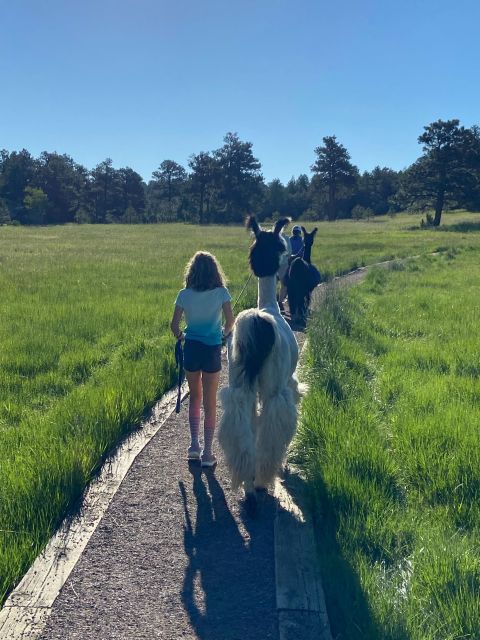 Denver: Llama Hike in the Rocky Mountains - Final Thoughts