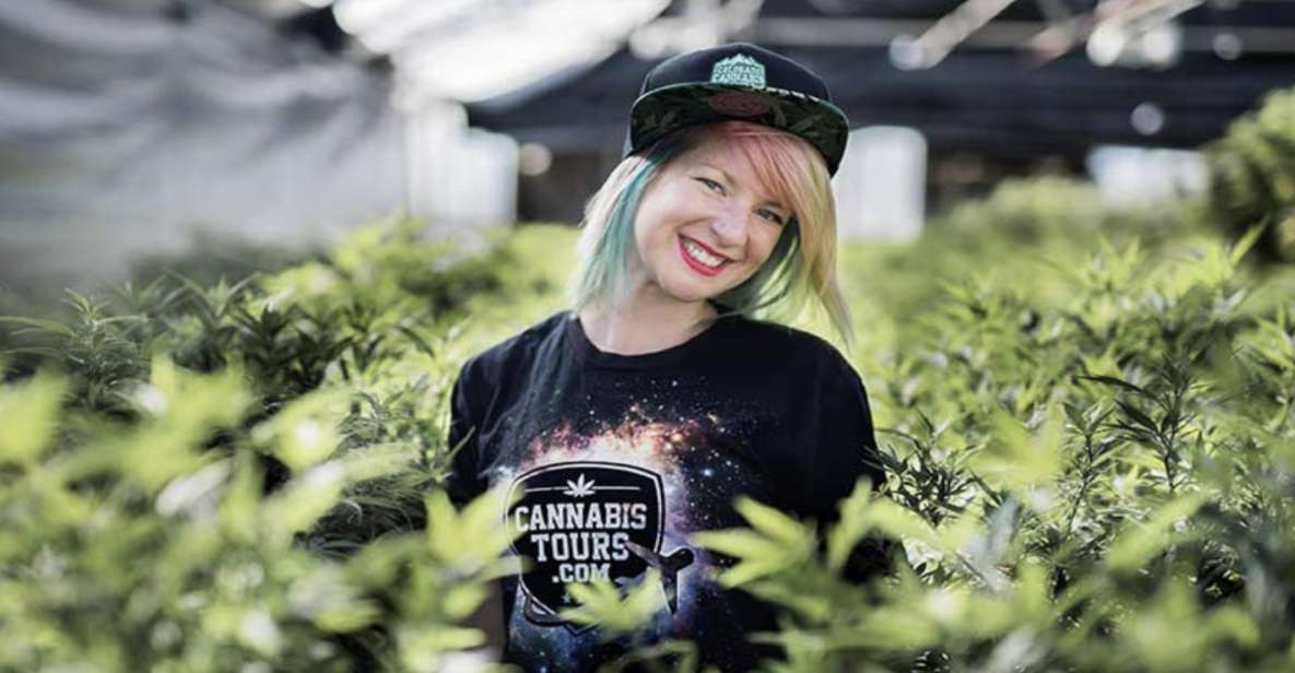Denver: Private Luxury Cannabis Tour - An In-Depth Look at the Denver Private Cannabis Tour