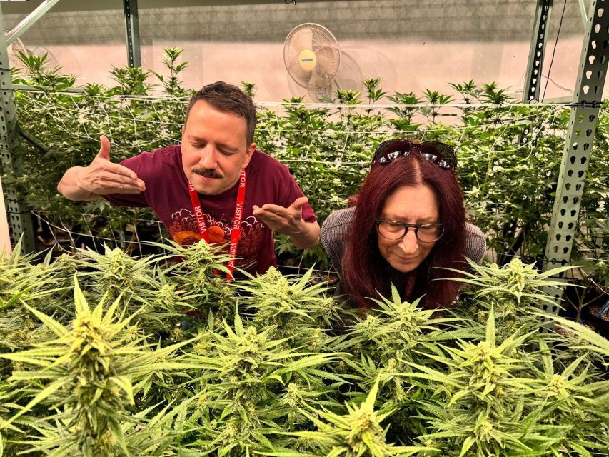 Denver: Private Luxury Cannabis Tour - Why This Tour Is Worth Considering
