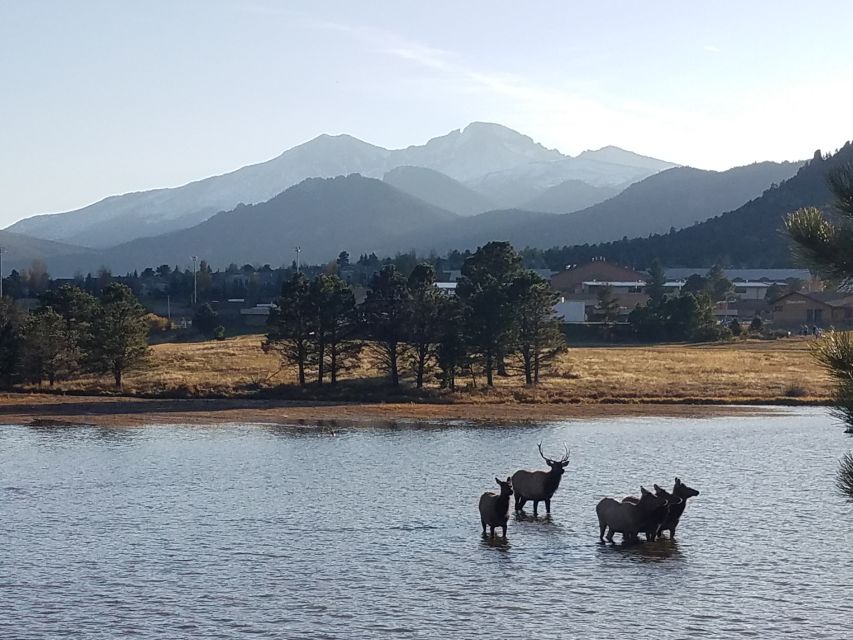 Denver: Rocky Mountain National Park Tour with Picnic Lunch - Why This Tour is Worth Your Time