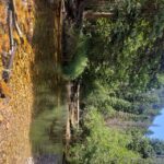 Denver: Rocky Mountain National Park Tour with Picnic Lunch - A Detailed Breakdown of the Itinerary