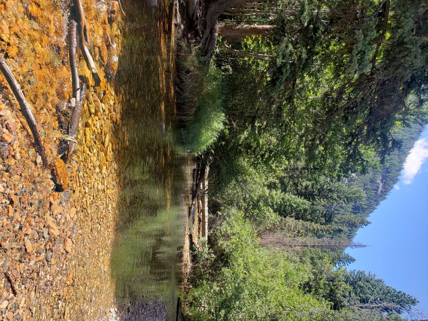 Denver: Rocky Mountain National Park Tour with Picnic Lunch - A Detailed Breakdown of the Itinerary