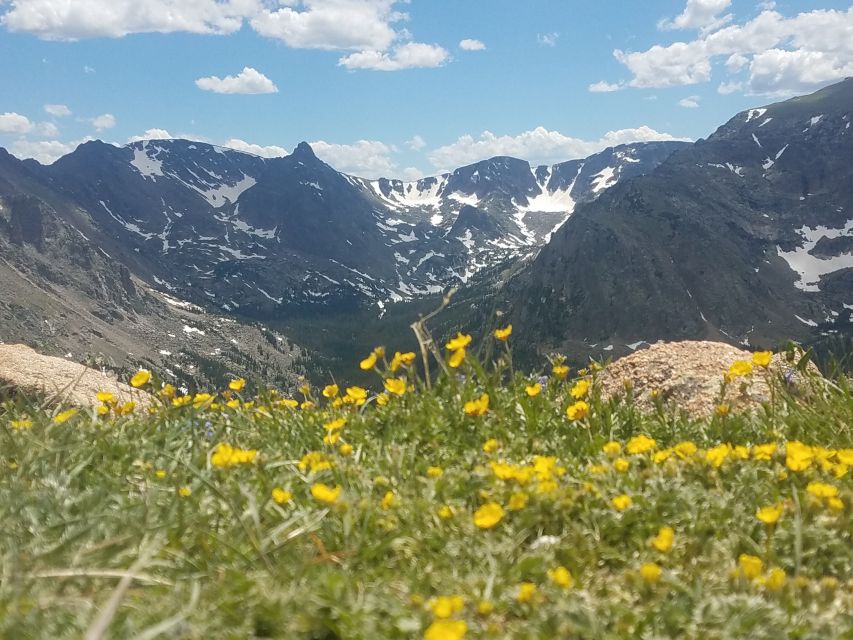 Denver: Rocky Mountain National Park Tour with Picnic Lunch - Who Should Book This Tour?