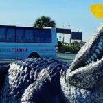 Depart from Miami to discover the Everglades with Airboat tour included! - What the Reviews Say