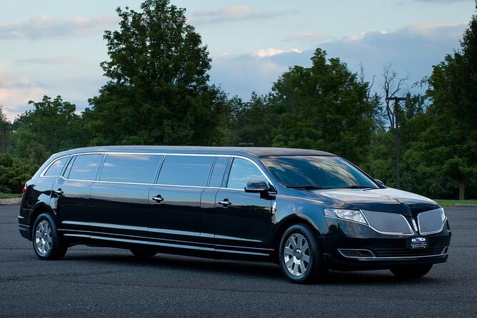Departure by Private Bus or Limo from Orlando to Port Canaveral - Why Choose This Private Transfer?