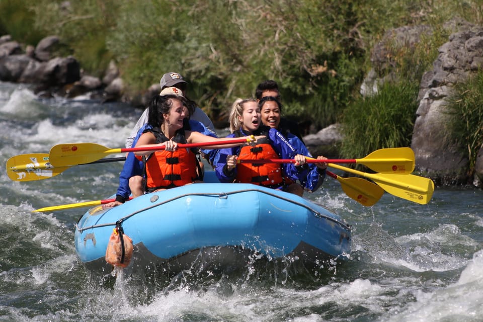 Deschutes River Half Day trips - Key Points