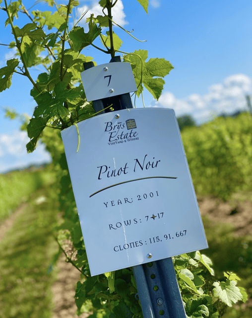 Designated Driver For Wine Tours - Traverse City - How It Works: Booking, Itinerary, and Day-of Experience