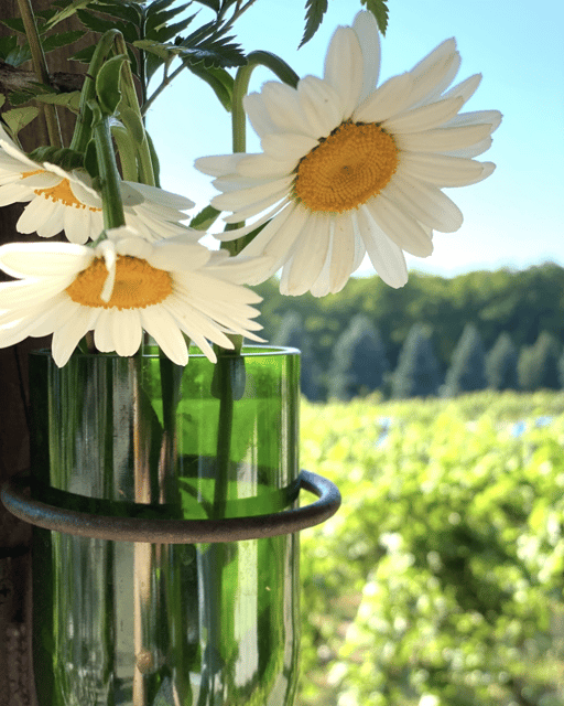 Designated Driver For Wine Tours - Traverse City - The Sum Up
