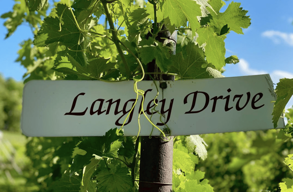 Designated Driver For Wine Tours - Traverse City - FAQs