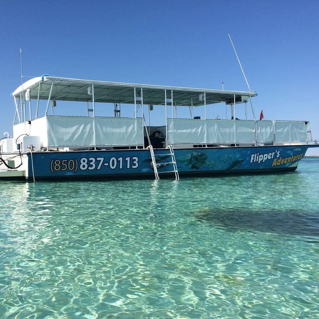 Destin: Crab Island Catamaran Tour with Dolphin Watching - Key Points