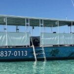 Destin: Crab Island Catamaran Tour with Dolphin Watching - Practical Details and Tips
