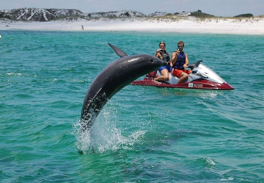 Destin: Crab Island Dolphin Watching Jet Ski Tour - A Closer Look at the Crab Island Dolphin Jet Ski Tour