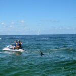 Destin: Crab Island Dolphin Watching Jet Ski Tour - Who Is This Tour Best For?