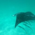 Destin Dolphin Cruise - Who Will Love This Experience?