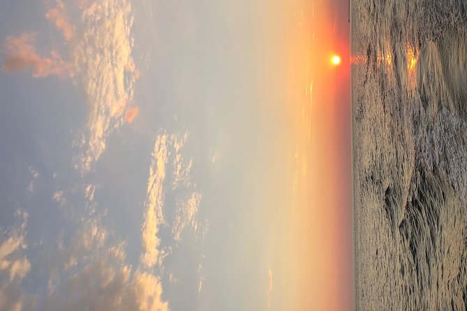 Destin Dolphin Cruise - Final Thoughts