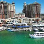 Destin: Dolphin Cruise aboard a Glass-Bottom Boat - Wildlife Encounters and Sightings