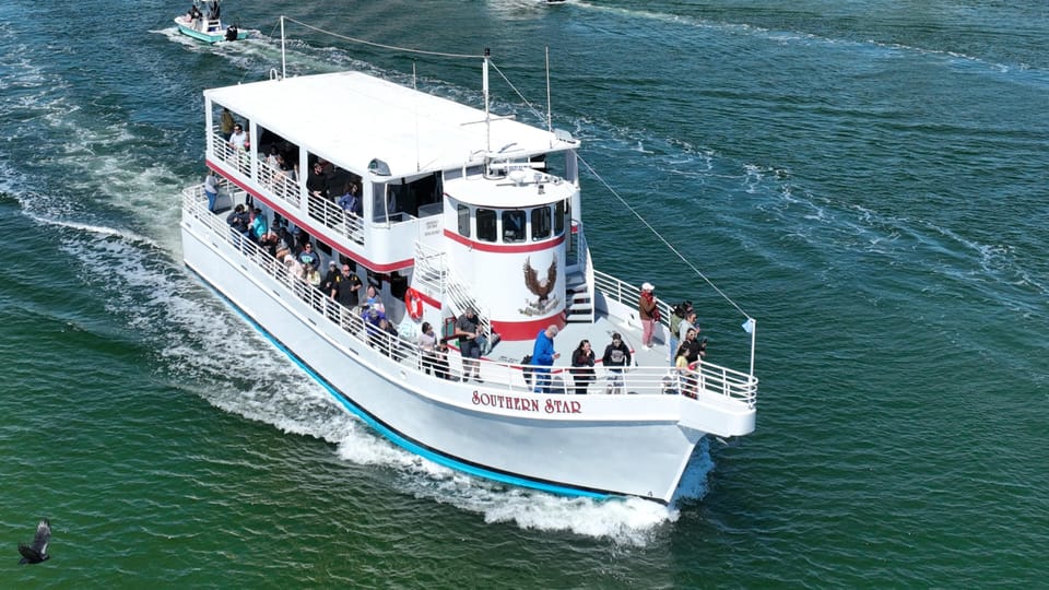 Destin: Dolphin Cruise aboard a Glass-Bottom Boat - Duration, Price, and Overall Value