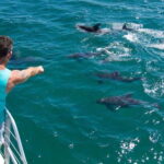 Destin: Dolphin Watching Cruise - Who Will Enjoy This Experience the Most?