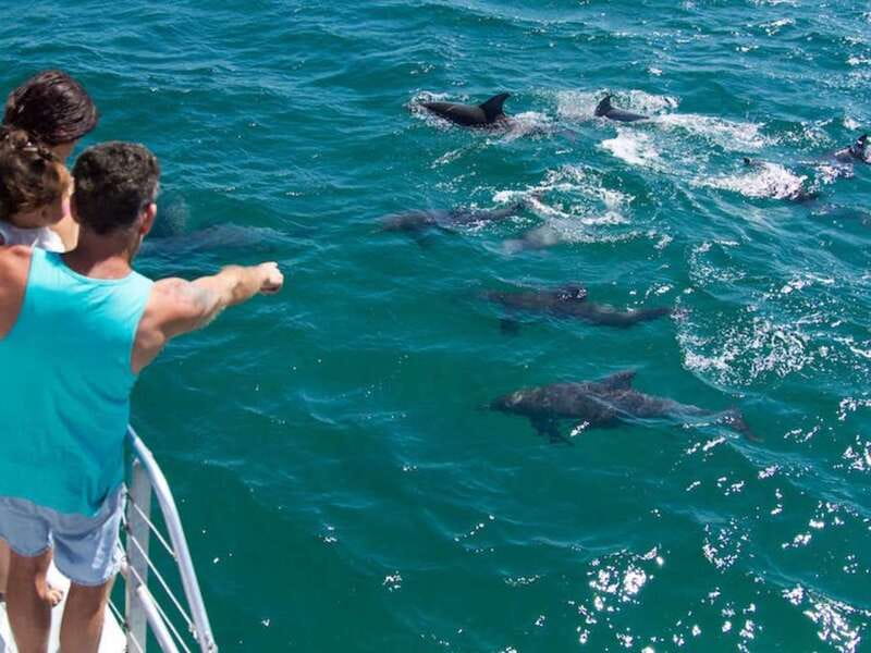 Destin: Dolphin Watching Cruise - Who Will Enjoy This Experience the Most?