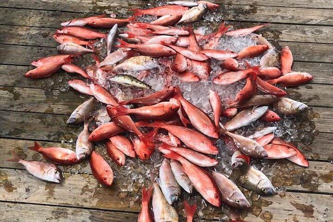 Destin: Party and Walk-On Fishing trip - Who Will Love This Tour?