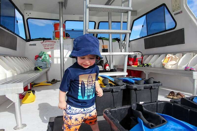 Destin: Snorkeling Cruise with 2 Stops and Dolphin Watching - Key Points