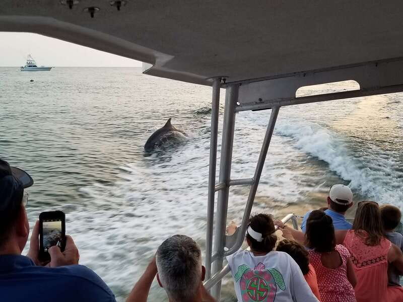 Destin: Snorkeling Cruise with 2 Stops and Dolphin Watching - Why This Tour Offers Great Value