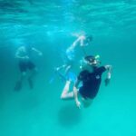 Destin: Snorkeling, Dolphins, and Crab Island - Practical Details and What It Means for You