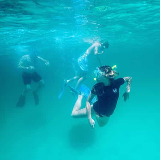 Destin: Snorkeling, Dolphins, and Crab Island - Practical Details and What It Means for You