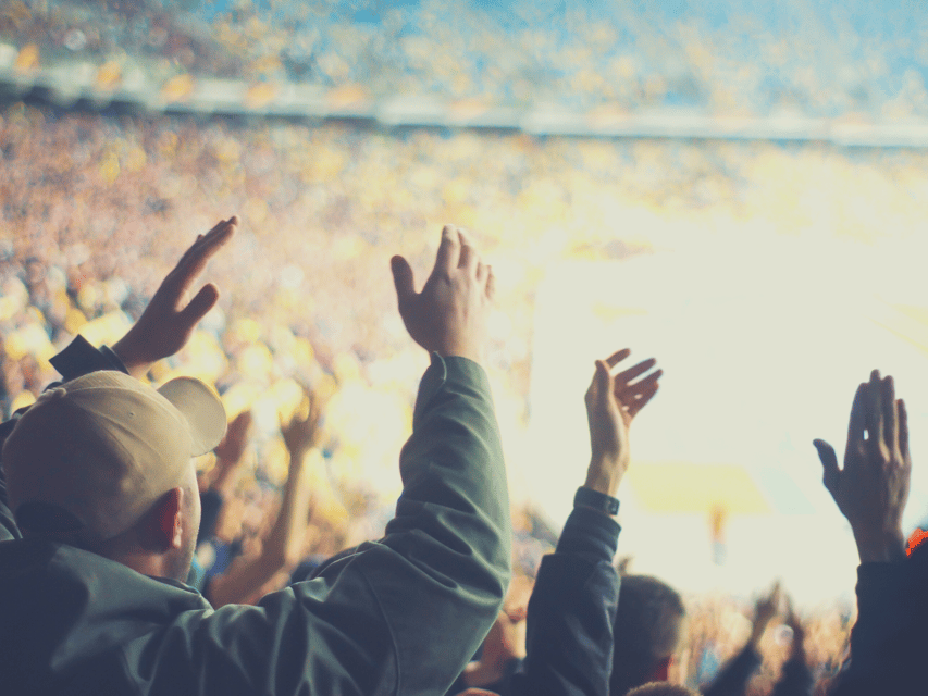 Detroit: Detroit Lions Football Game at Ford Field - What to Expect from a Detroit Lions Game at Ford Field