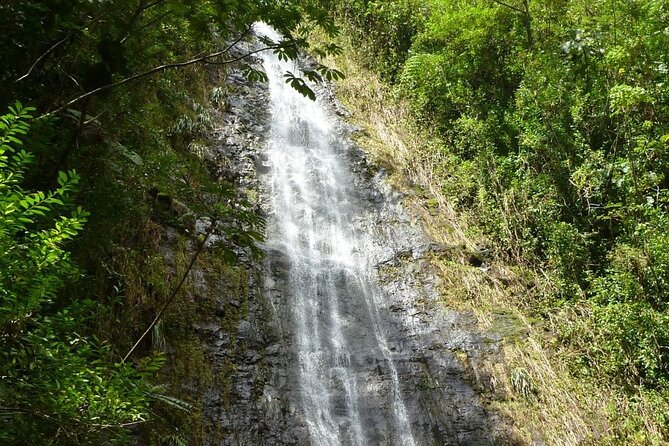 Diamond Head and Manoa Falls Hike and Adventure Tour - Who Is This Tour Best Suited For?