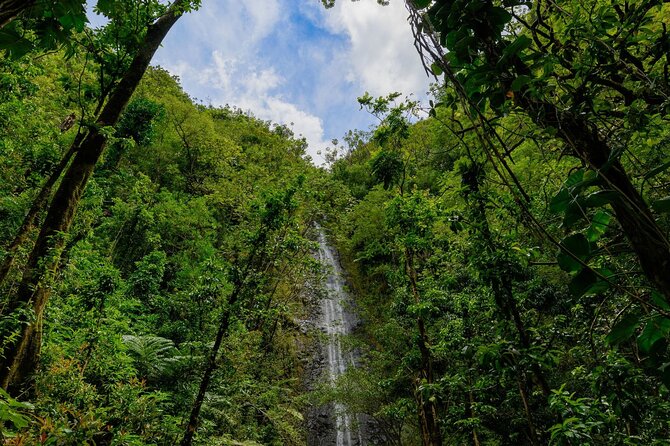 Diamond Head and Manoa Falls Hike and Adventure Tour - Final Thoughts