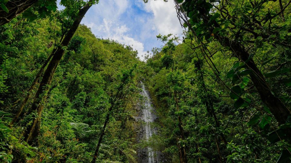 Diamond Head Manoa Falls - Key Points