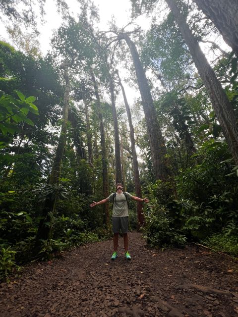Diamond Head Manoa Falls - What to Expect from the Diamond Head Manoa Falls Tour