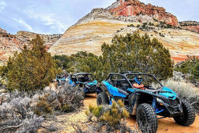 Diana's Throne UTV Adventure Near Zion National Park - What Is the Dianas Throne UTV Adventure?
