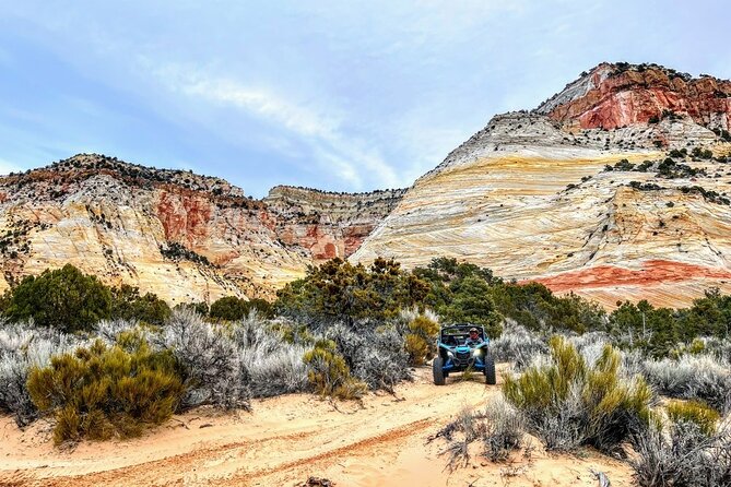 Diana's Throne UTV Adventure Near Zion National Park - The Value and Pricing