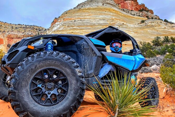 Diana's Throne UTV Adventure Near Zion National Park - Authentic Insights from Reviewers