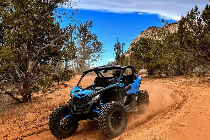 Diana's Throne UTV Adventure Near Zion National Park - Practical Details and Tips