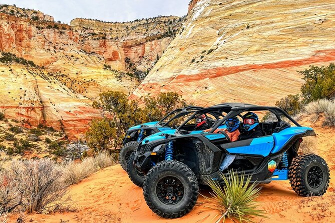 Diana's Throne UTV Adventure Near Zion National Park - The Sum Up: Why Choose Diana’s Throne UTV Adventure?
