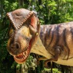 Dinosaur World Theme Park - Real Visitor Perspectives