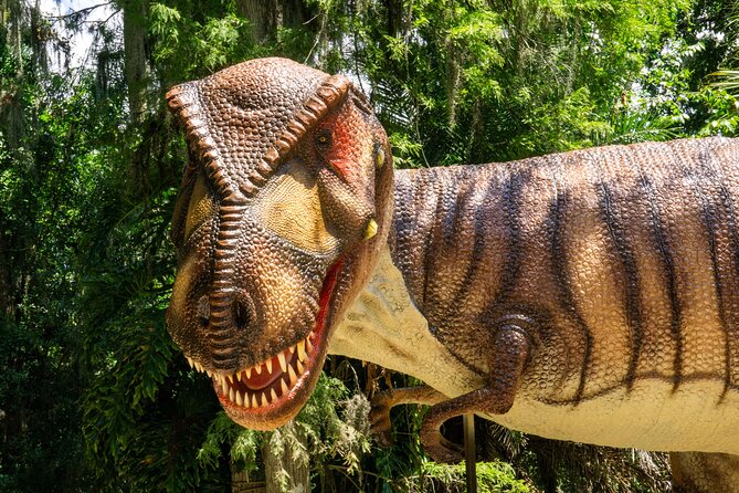 Dinosaur World Theme Park - Real Visitor Perspectives