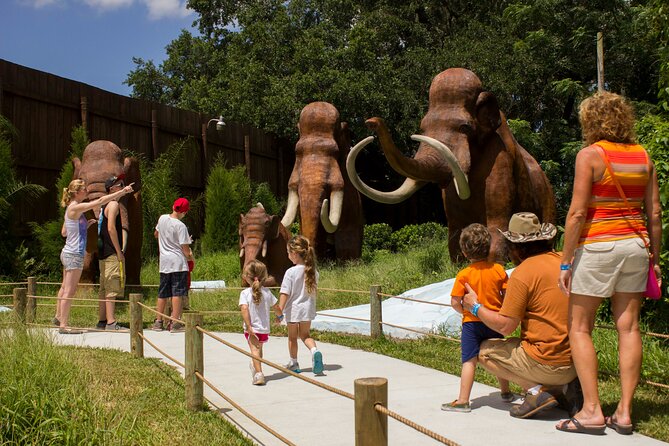 Dinosaur World Theme Park - Final Thoughts: Is Dinosaur World Worth Visiting?