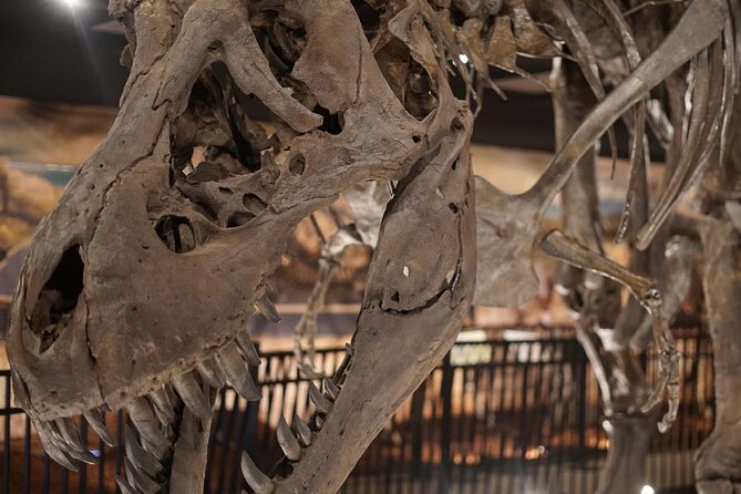 Dinosaur World Theme Park - Frequently Asked Questions